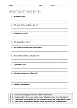 Aufgabensammlung zum Thema "Enten" | Unterricht.Schule